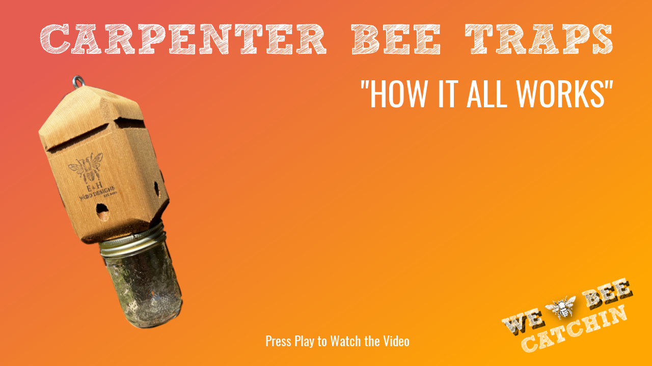Carpenter bee traps – E&H Wood Designs